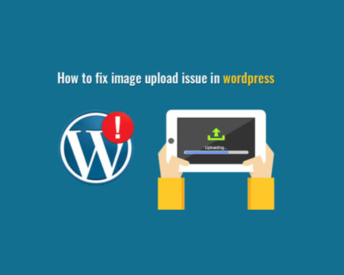 How To Solve Image Upload Issue In WordPress